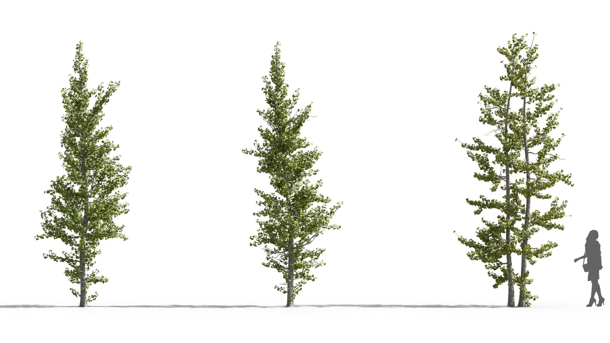 Bộ cây sketchup Vray - SU84 Studio