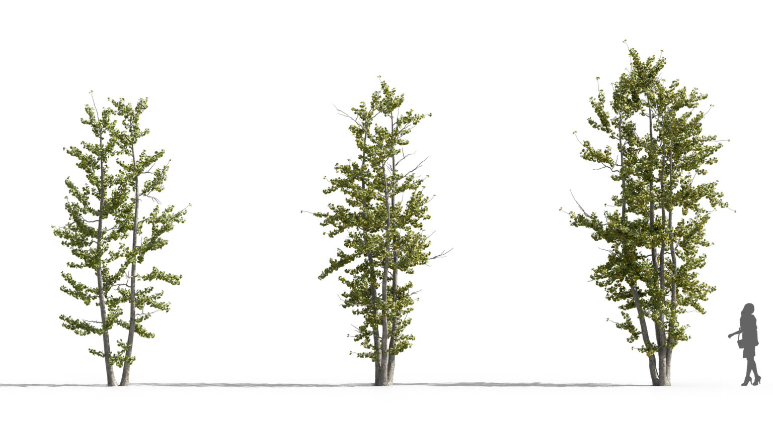 Bộ cây sketchup Vray - SU84 Studio