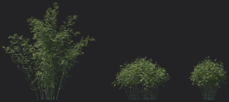 Bộ cây tre trúc Vray Sketchup - SU84 Studio