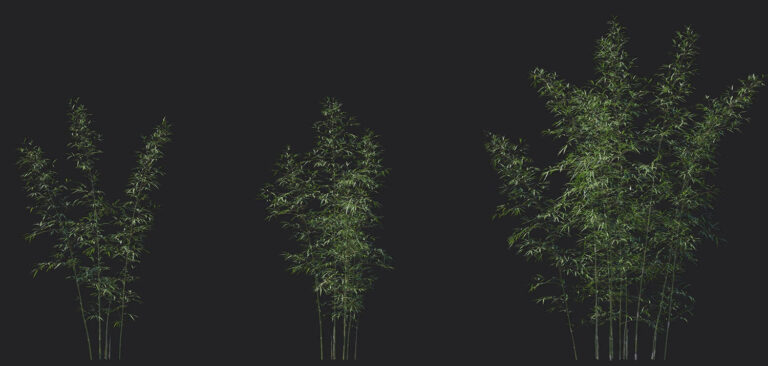 Bộ cây tre trúc Vray Sketchup - SU84 Studio
