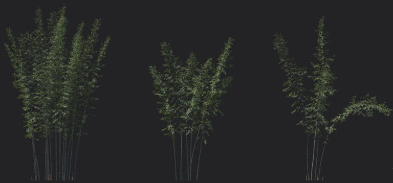 Bộ cây tre trúc Vray Sketchup - SU84 Studio