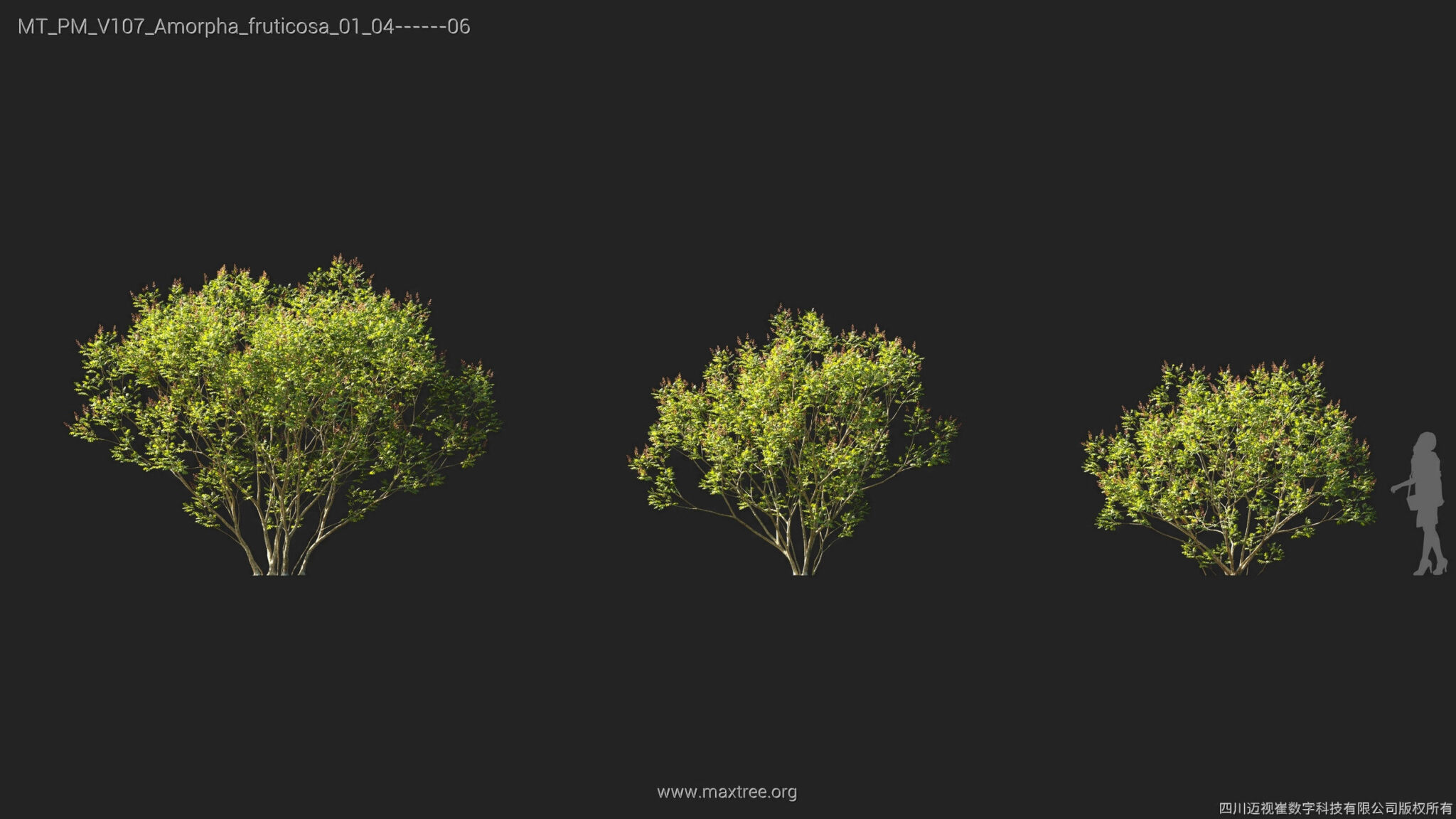 Bộ cây hoa Vray sketchup - SU84 Studio