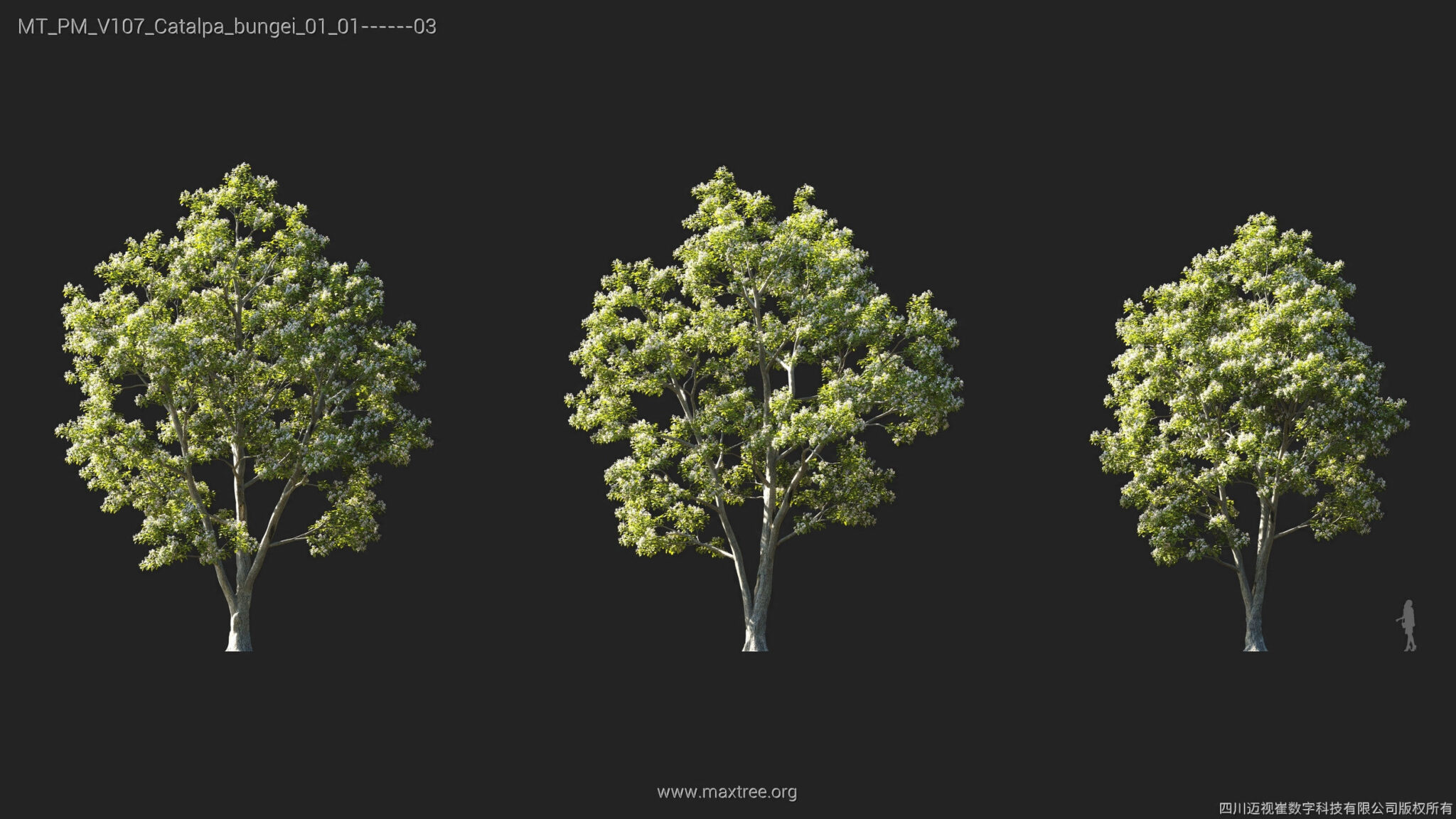 Bộ cây hoa Vray sketchup - SU84 Studio