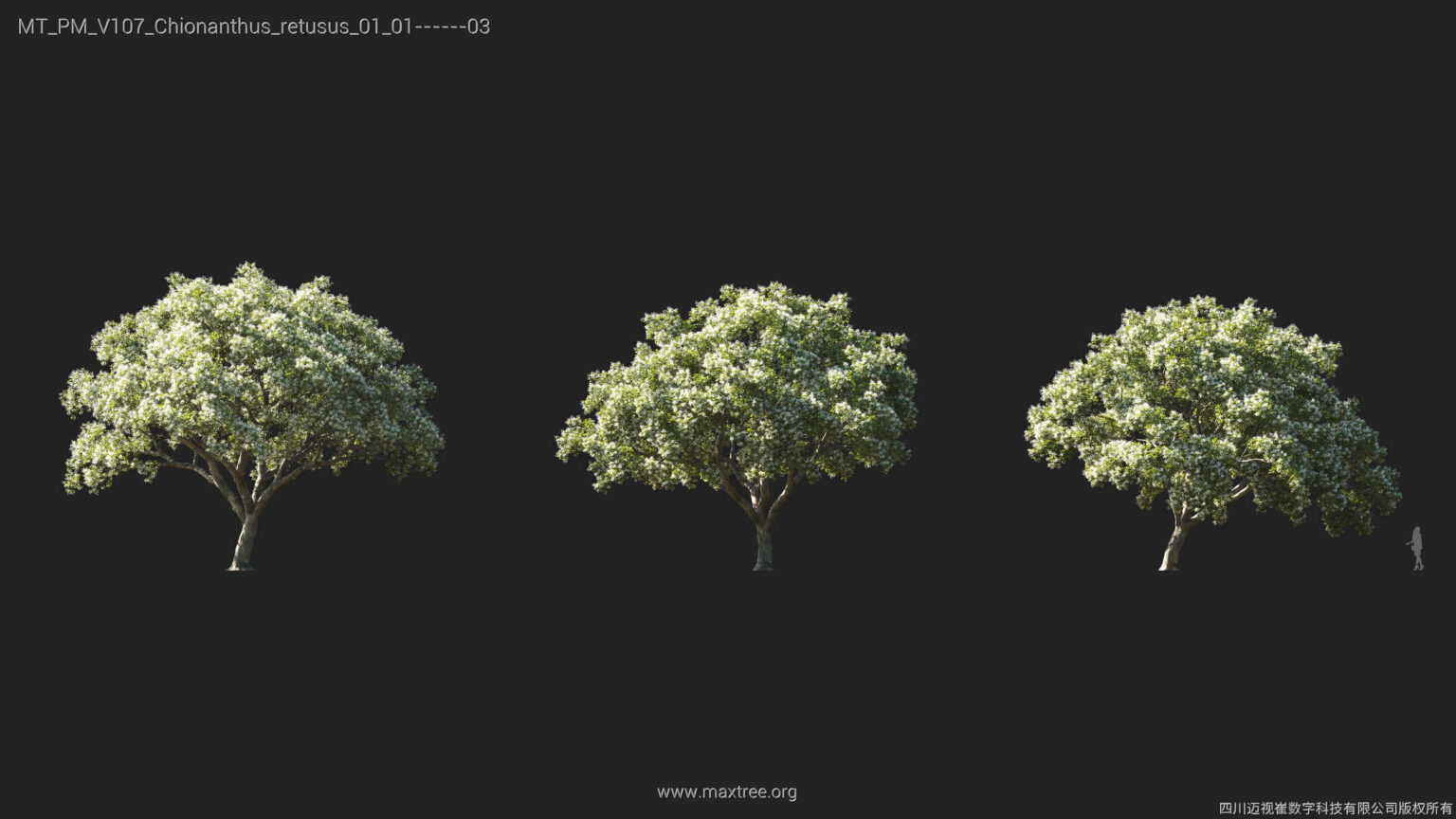 Bộ cây hoa Vray sketchup - SU84 Studio