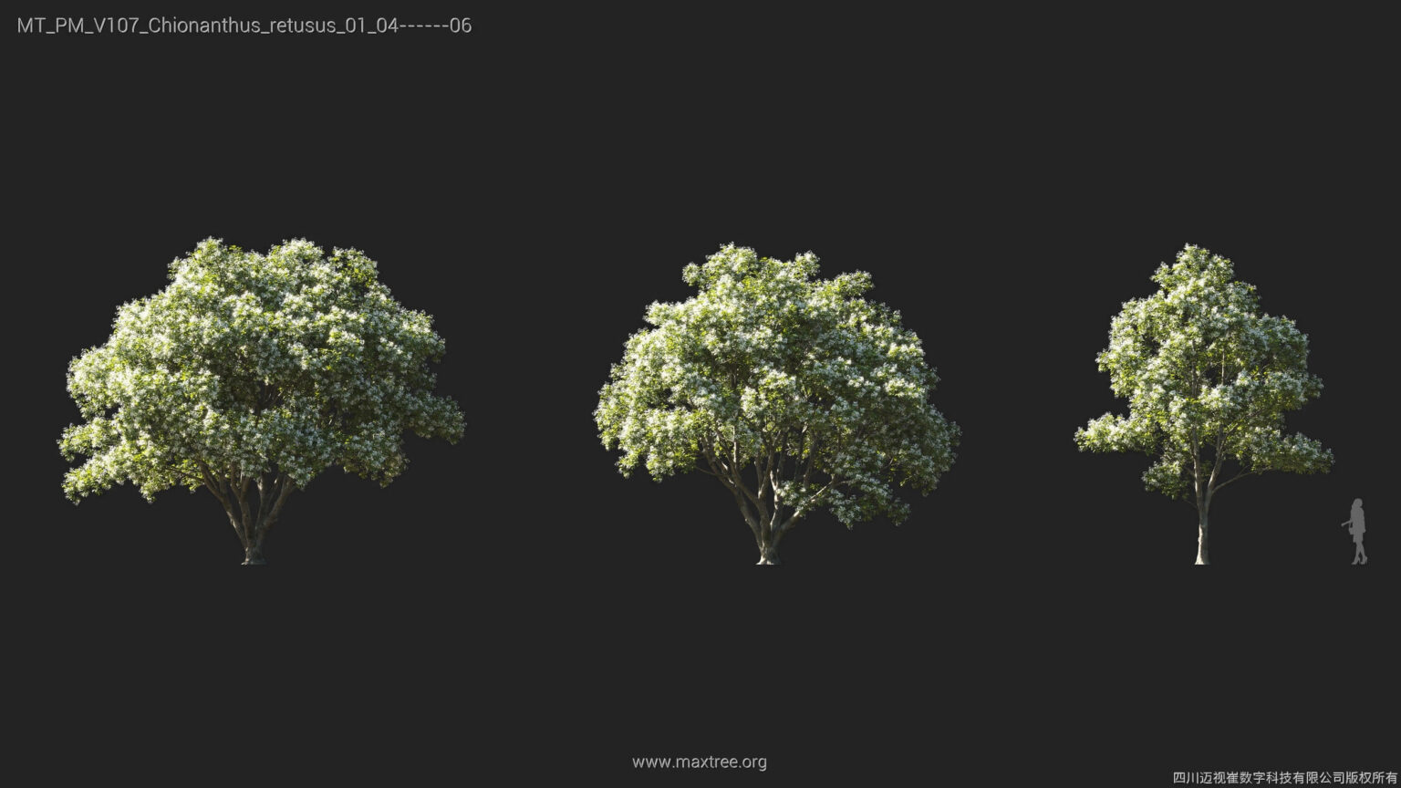 Bộ cây hoa Vray sketchup - SU84 Studio