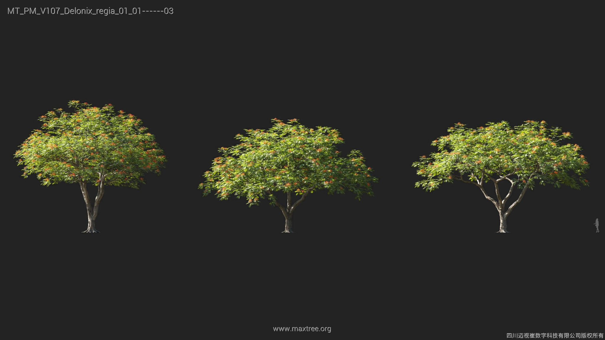 Bộ cây hoa Vray sketchup - SU84 Studio