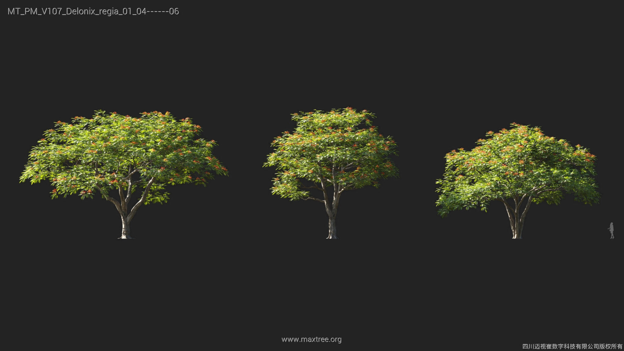 Bộ cây hoa Vray sketchup - SU84 Studio