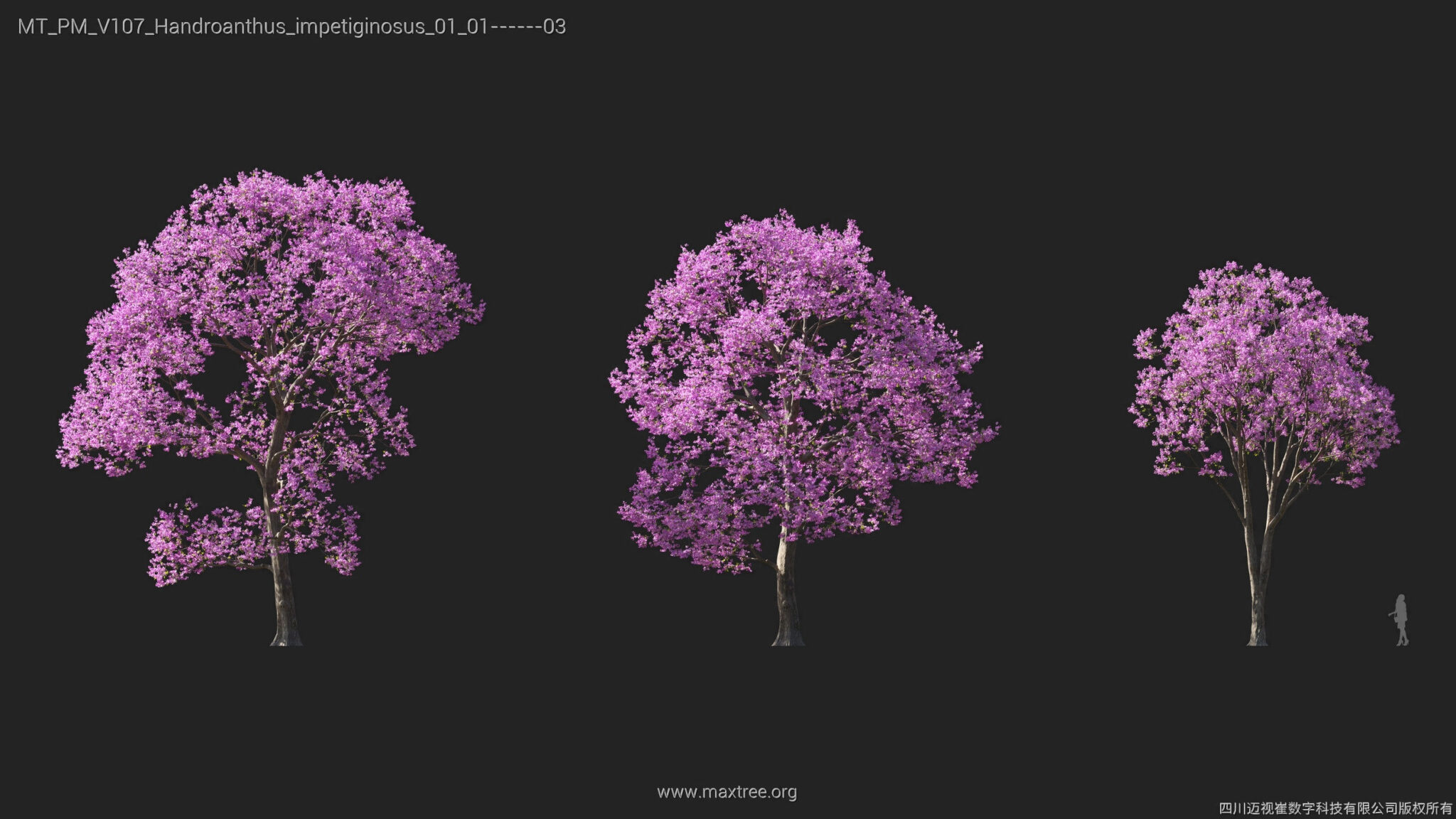 Bộ cây hoa Vray sketchup - SU84 Studio