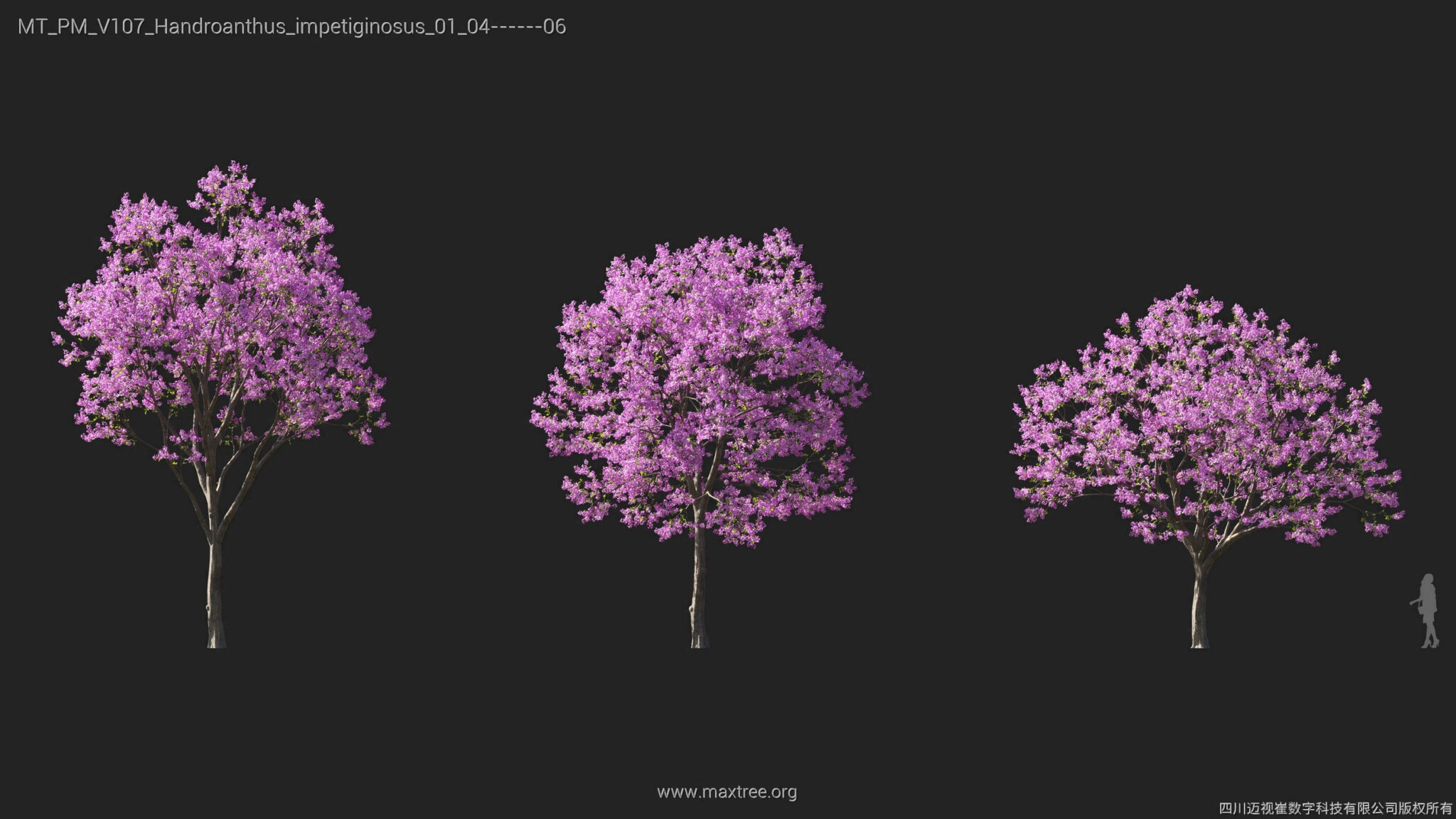 Bộ cây hoa Vray sketchup - SU84 Studio