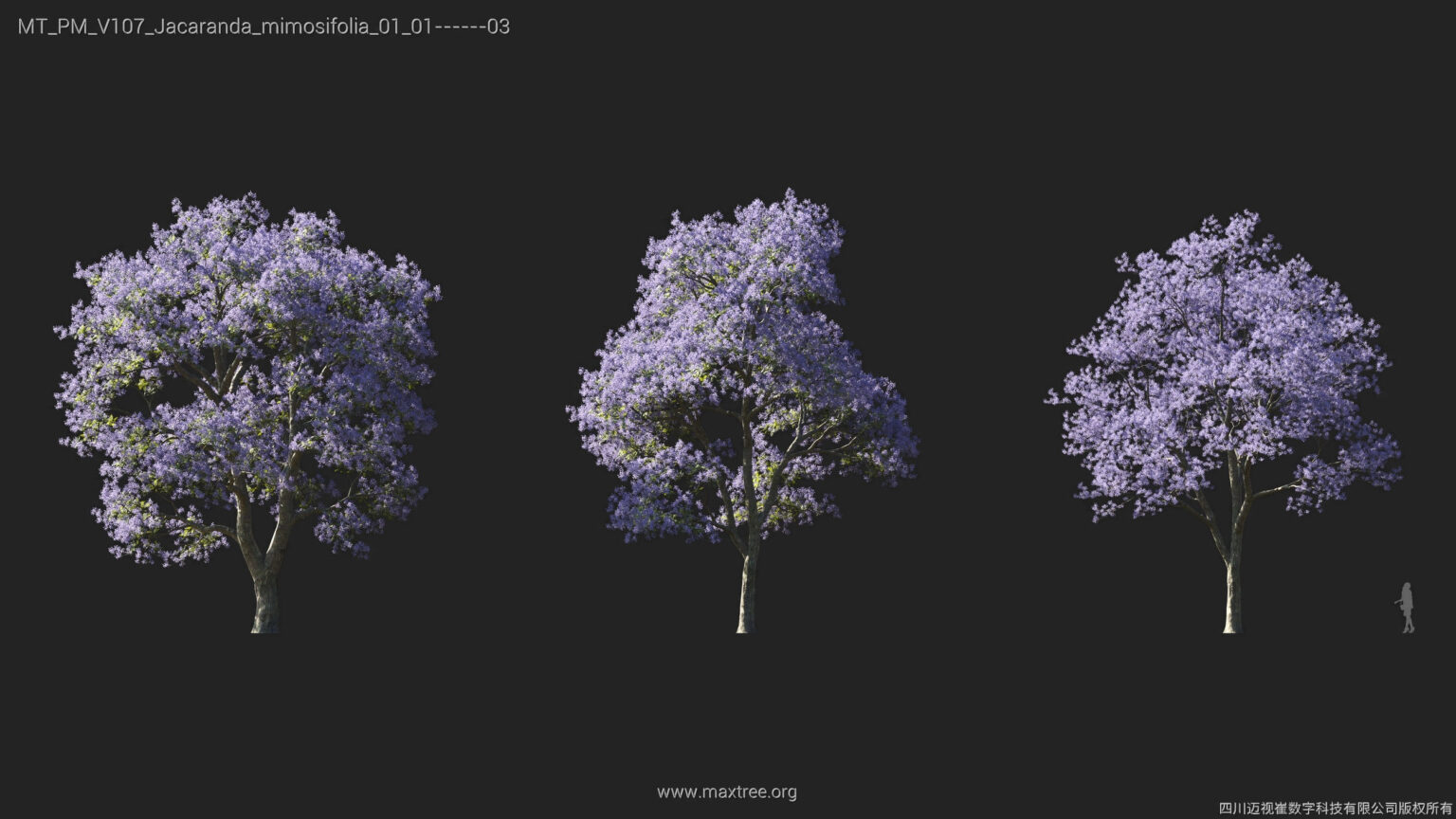 Bộ cây hoa Vray sketchup - SU84 Studio