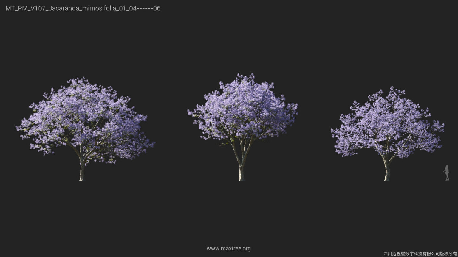 Bộ cây hoa Vray sketchup - SU84 Studio