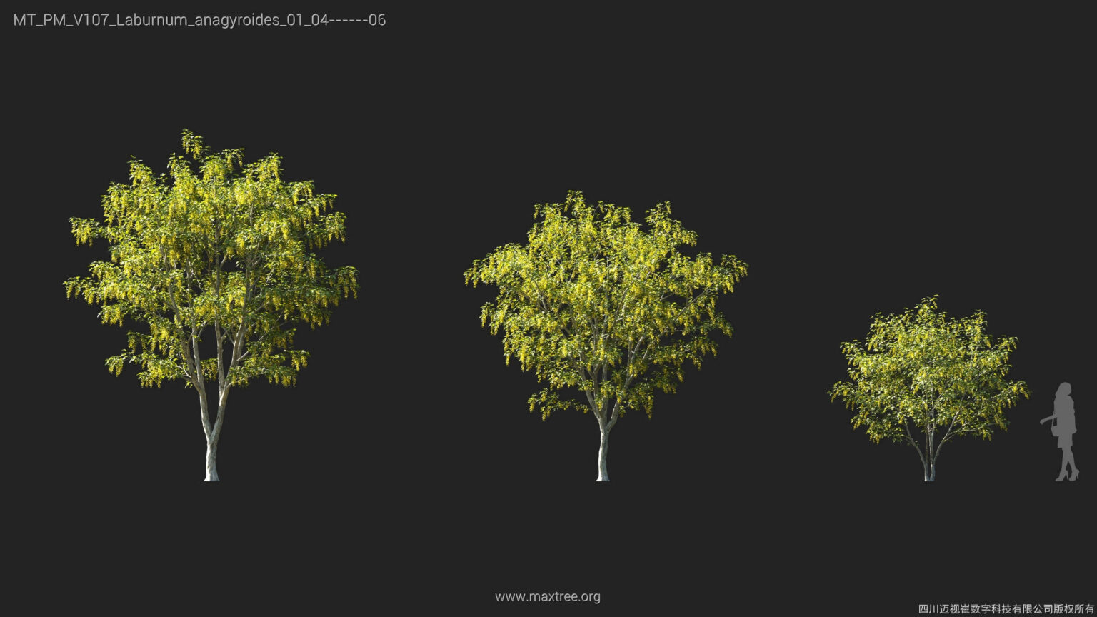 Bộ cây hoa Vray sketchup - SU84 Studio