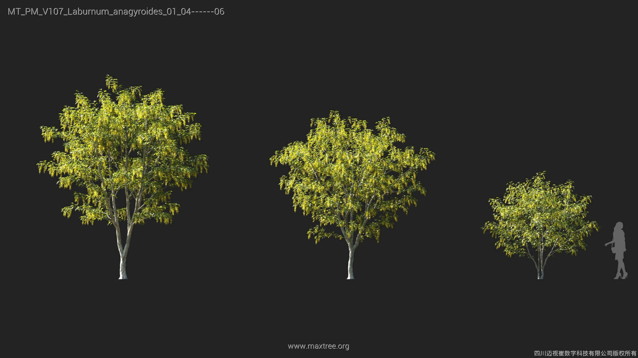 Bộ cây hoa Vray sketchup - SU84 Studio