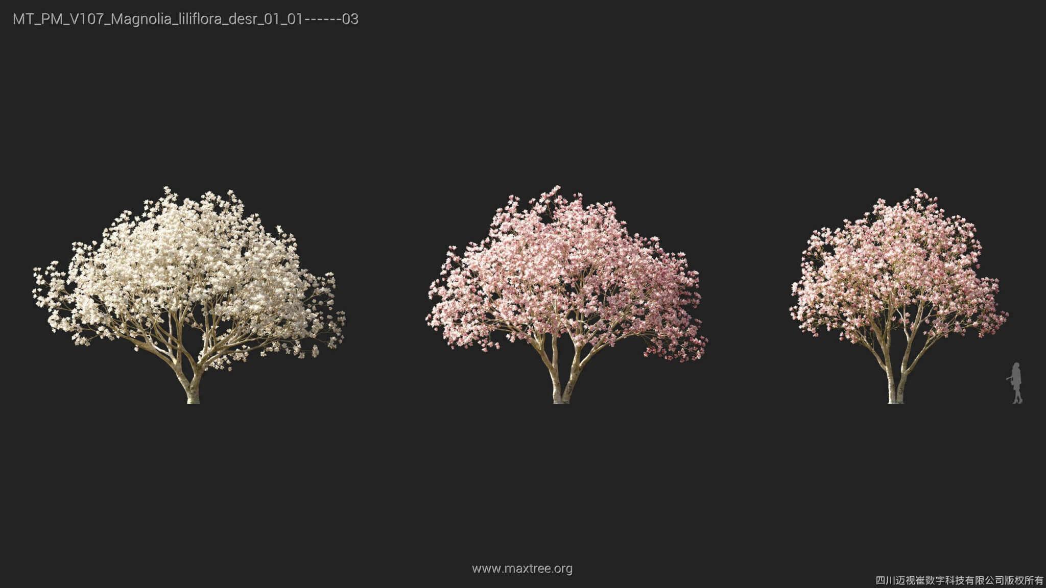 Bộ cây hoa Vray sketchup - SU84 Studio