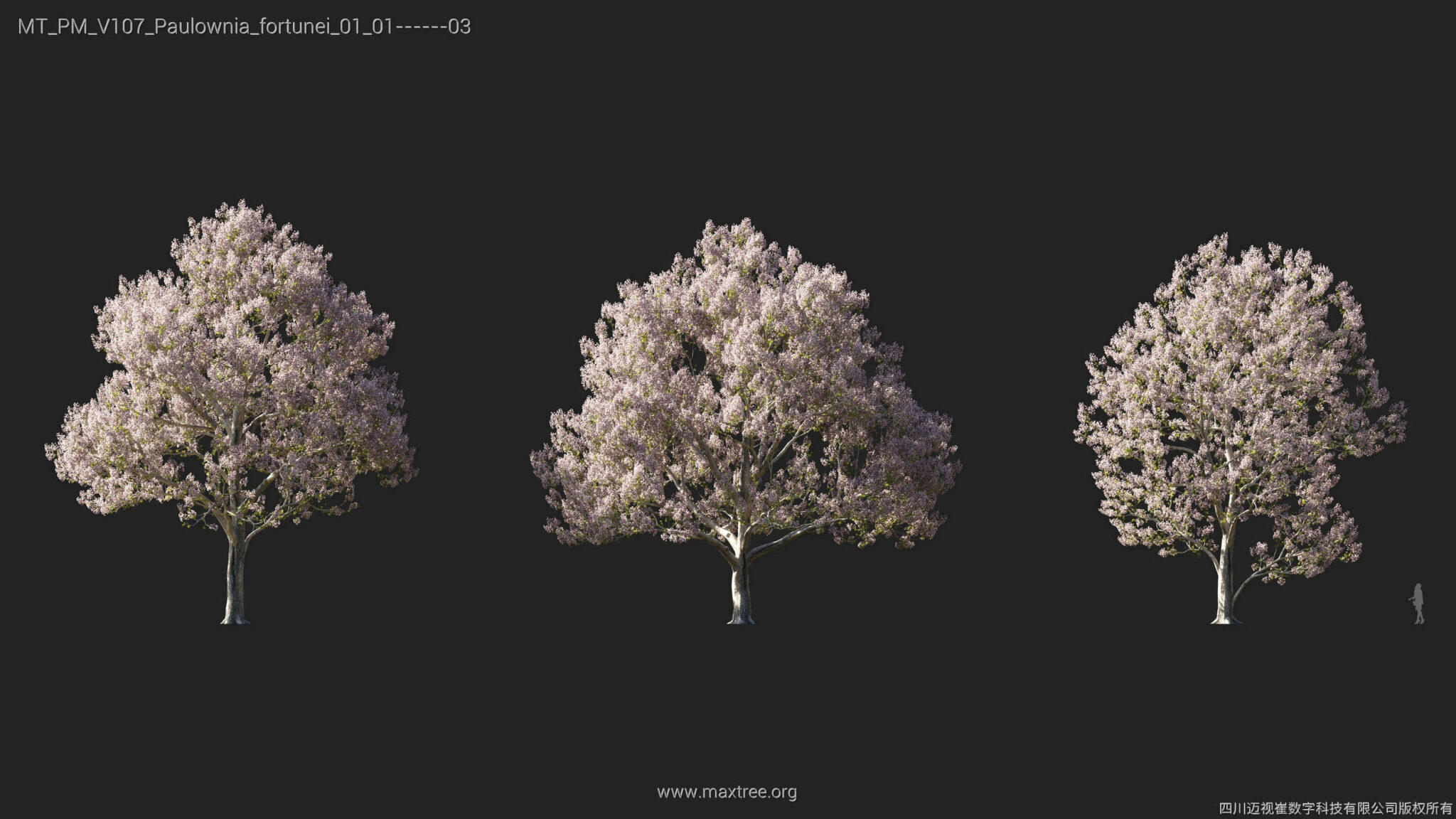 Bộ cây hoa Vray sketchup - SU84 Studio