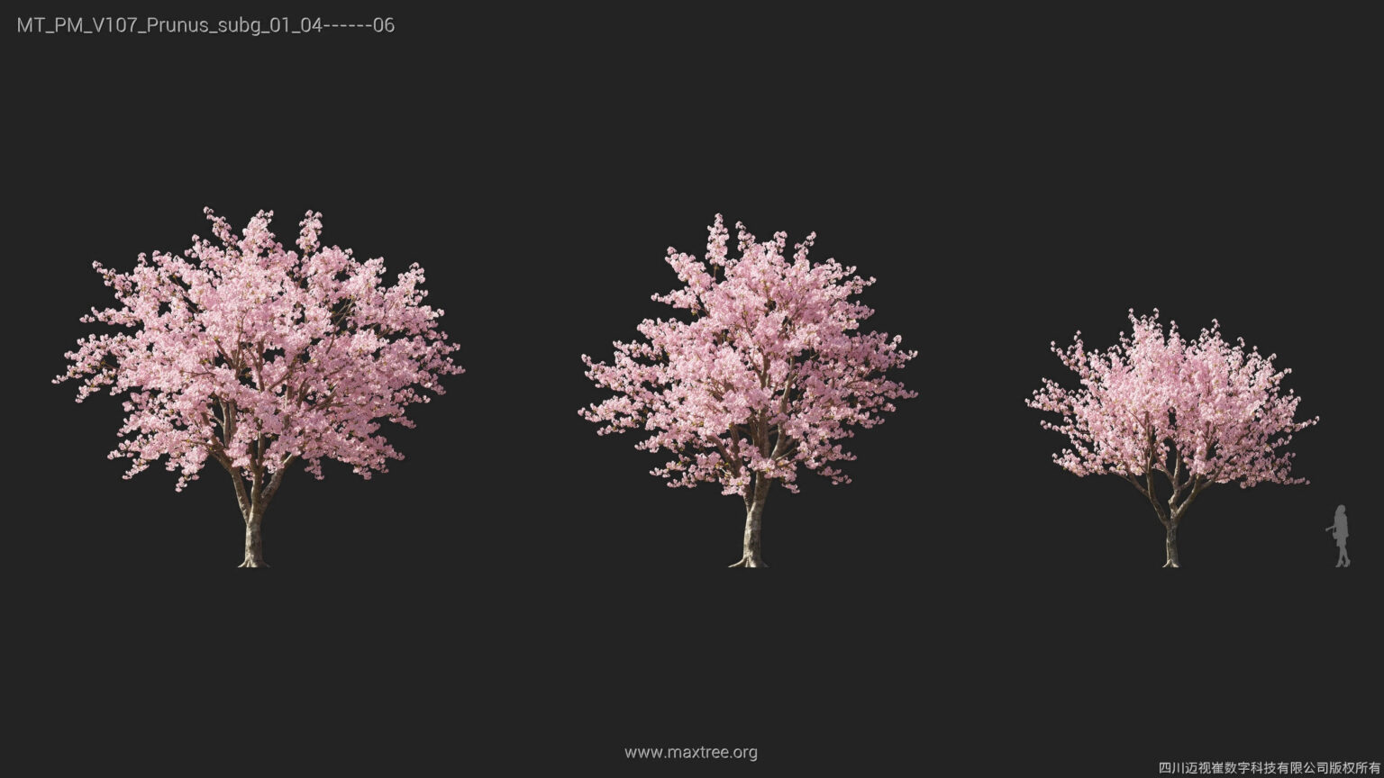 Bộ cây hoa Vray sketchup - SU84 Studio