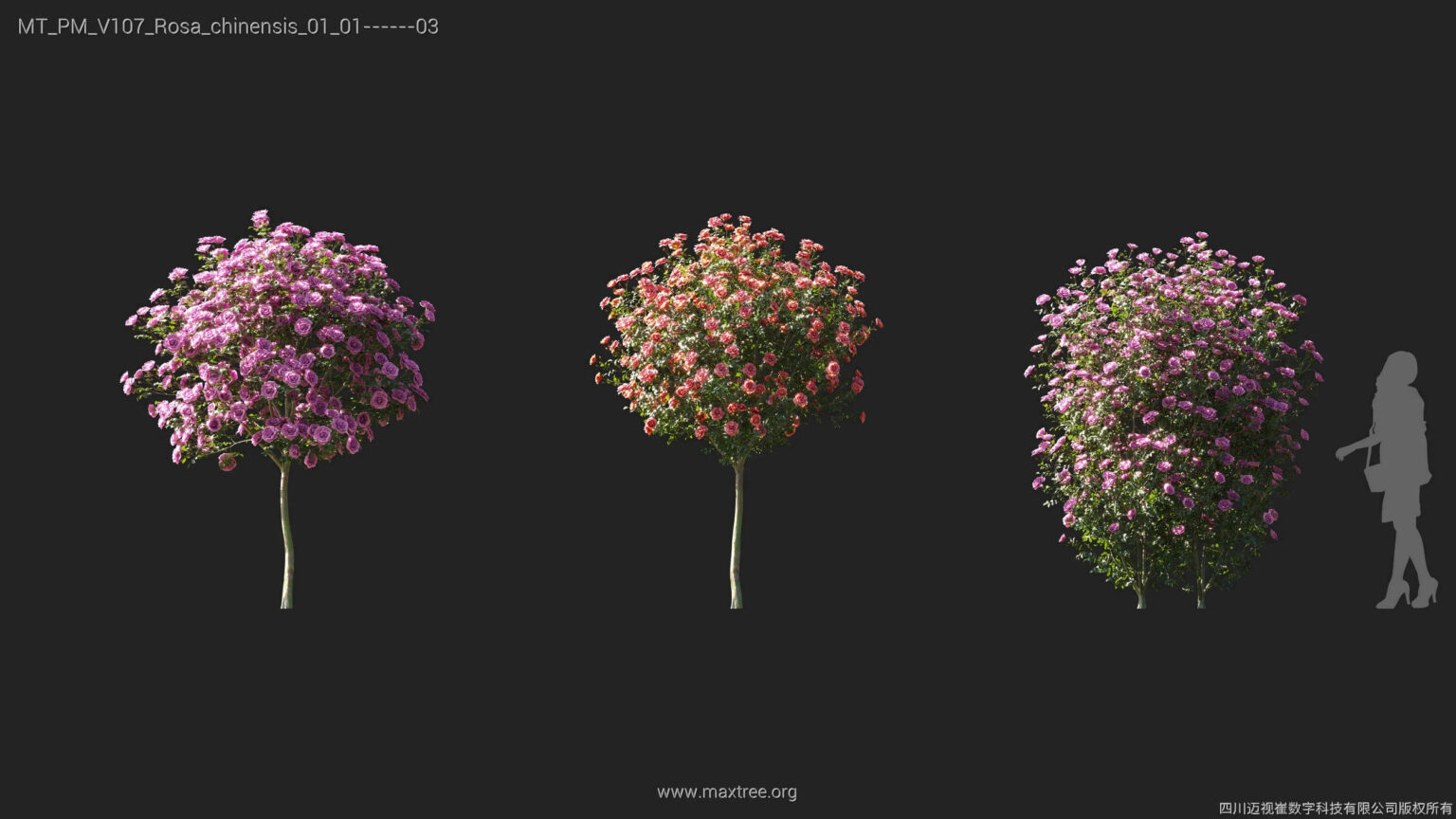 Bộ cây hoa Vray sketchup - SU84 Studio