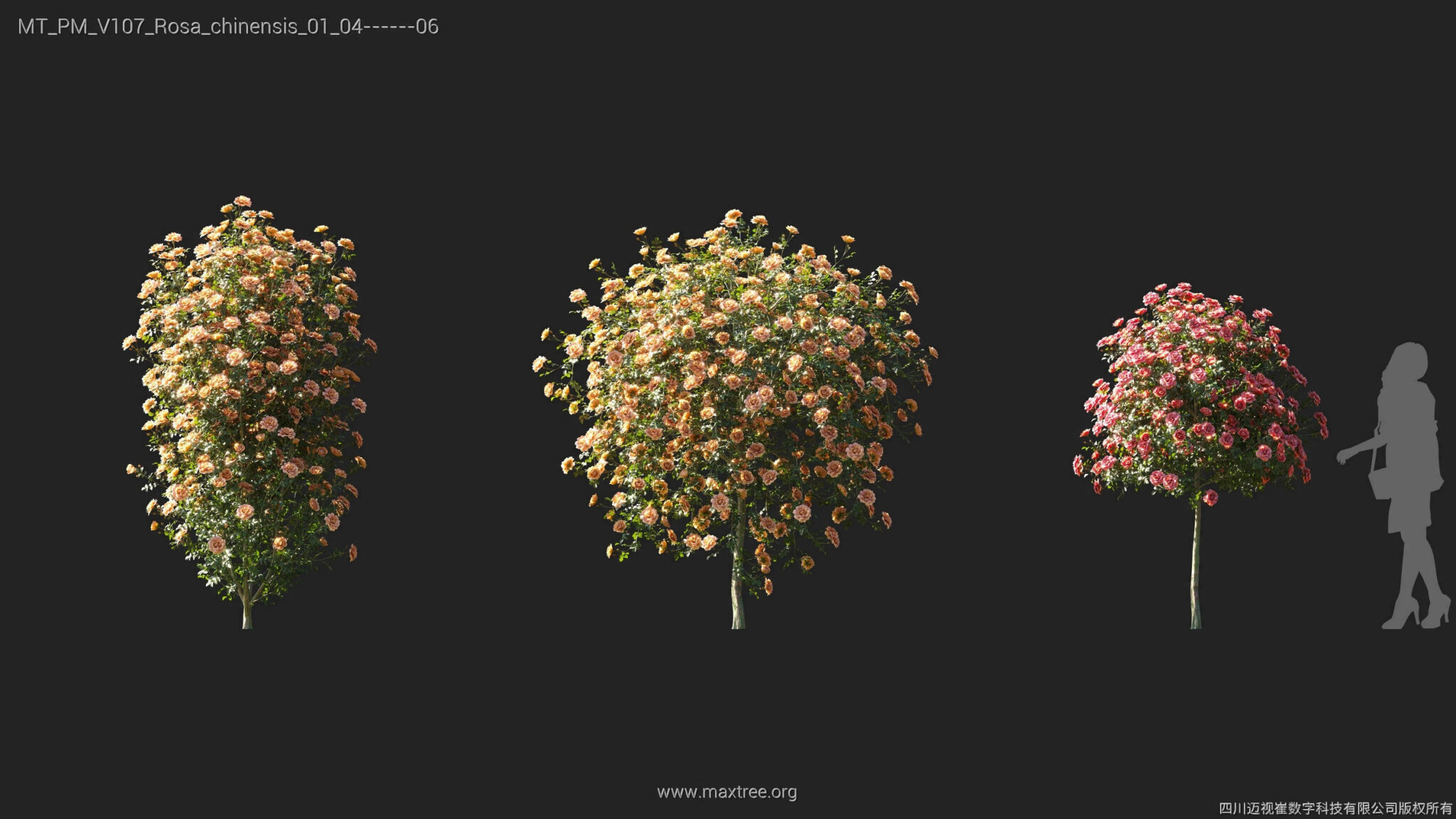 Bộ cây hoa Vray sketchup - SU84 Studio