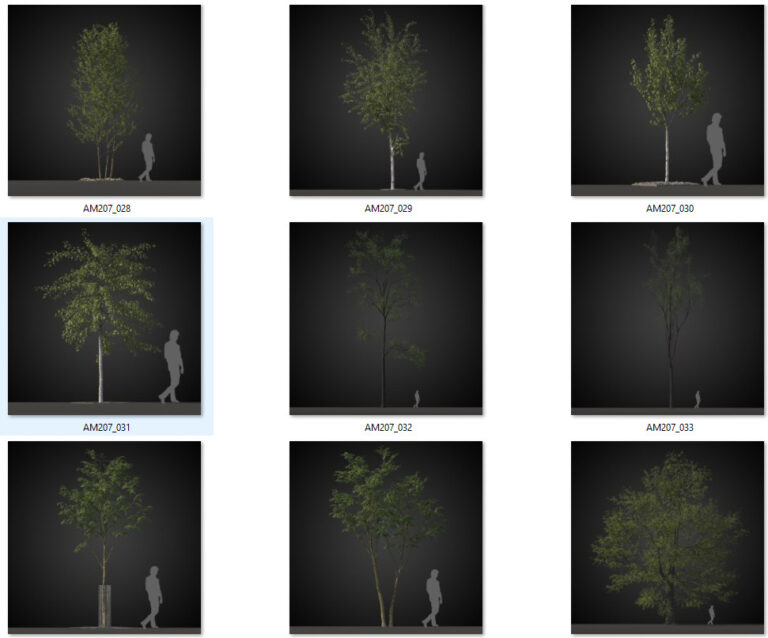 Cây Vray Sketchup vỉa hè - SU84 Studio