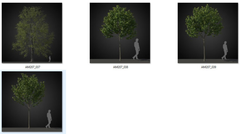 Cây Vray Sketchup vỉa hè - SU84 Studio