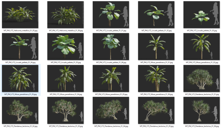 Bộ cây Maxtree vol 72 - SU84 Studio